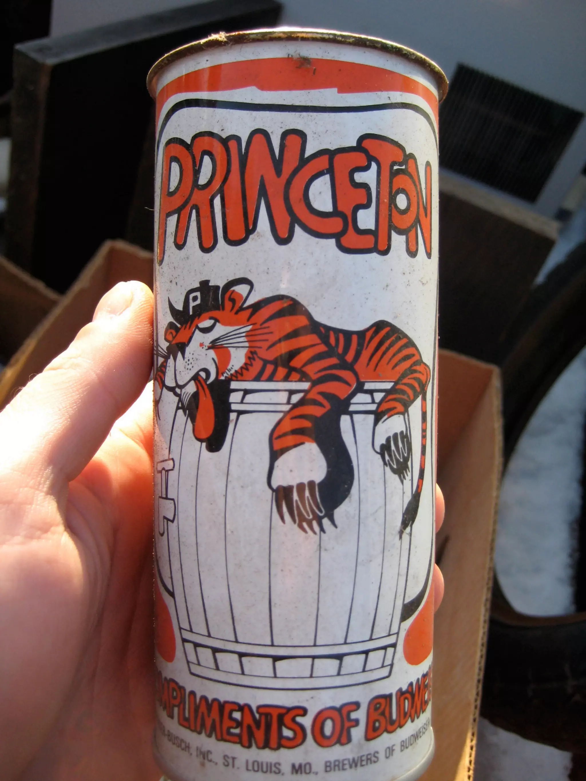 Beautiful Cans | PPT