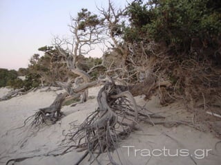 Crete from Tractus Presentasion | PPT