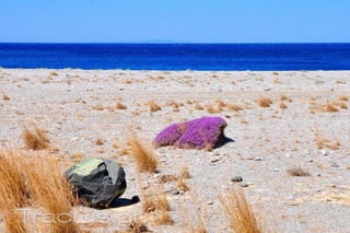 Crete from Tractus Presentasion | PPT