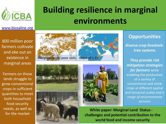 2020 Resilience Knowledge Fair E-Posters | PPT