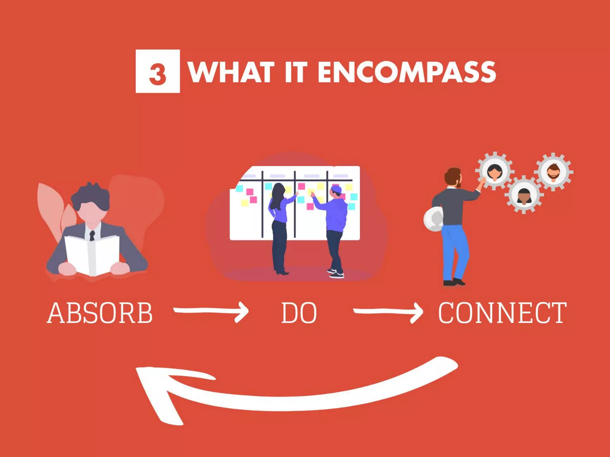 Absorb Do Connect Model | PPT