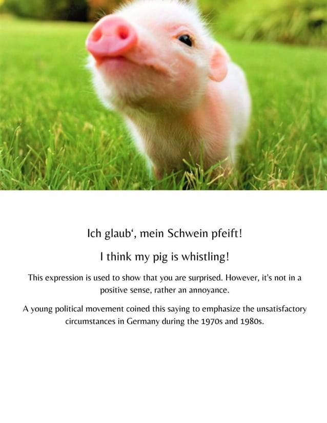 German Phrases - What they mean, Where they originated | PDF