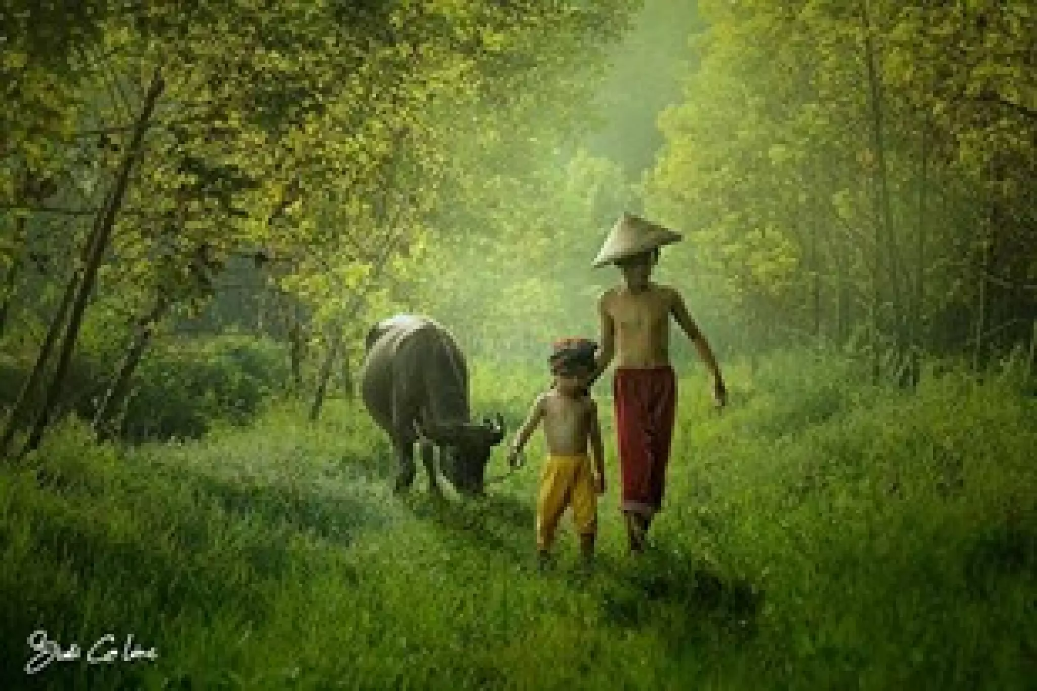 raja sorimangaraja sitanggang | PPT