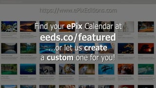 ePix Calendar - Modern Promotional Gift | PPT