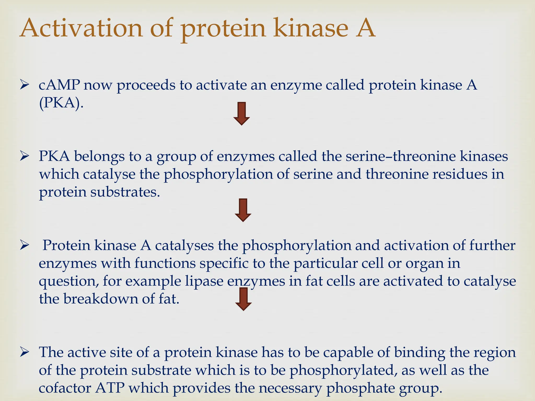 Binding and activation of receptors (1).pptx