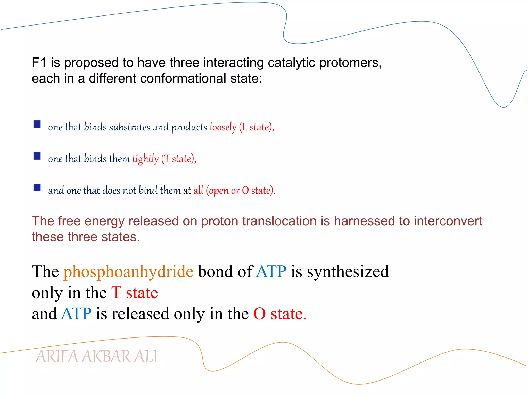 Binding change mechanism of ATP SYNTHASE | PPTX