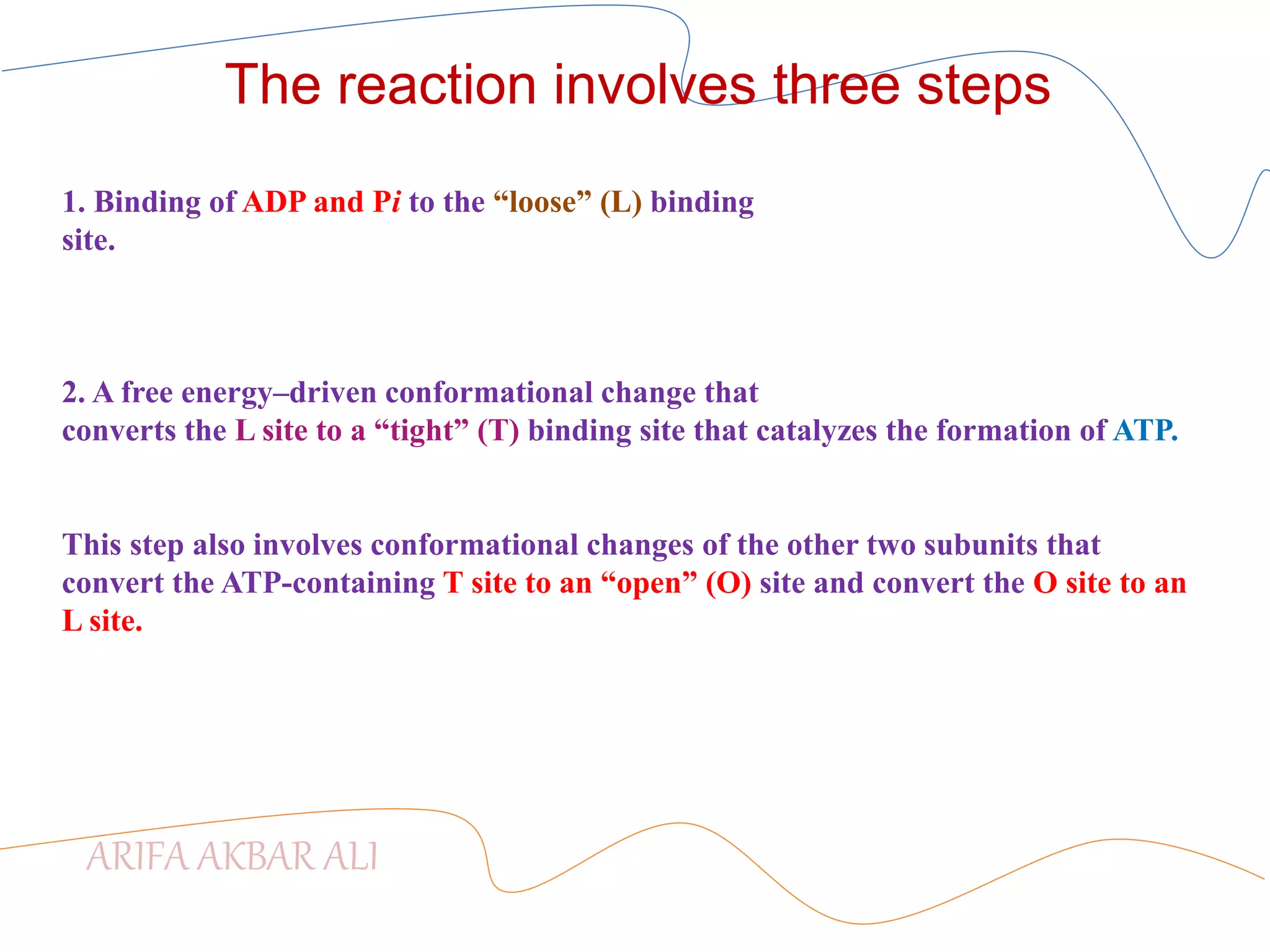 Binding change mechanism of ATP SYNTHASE | PPTX