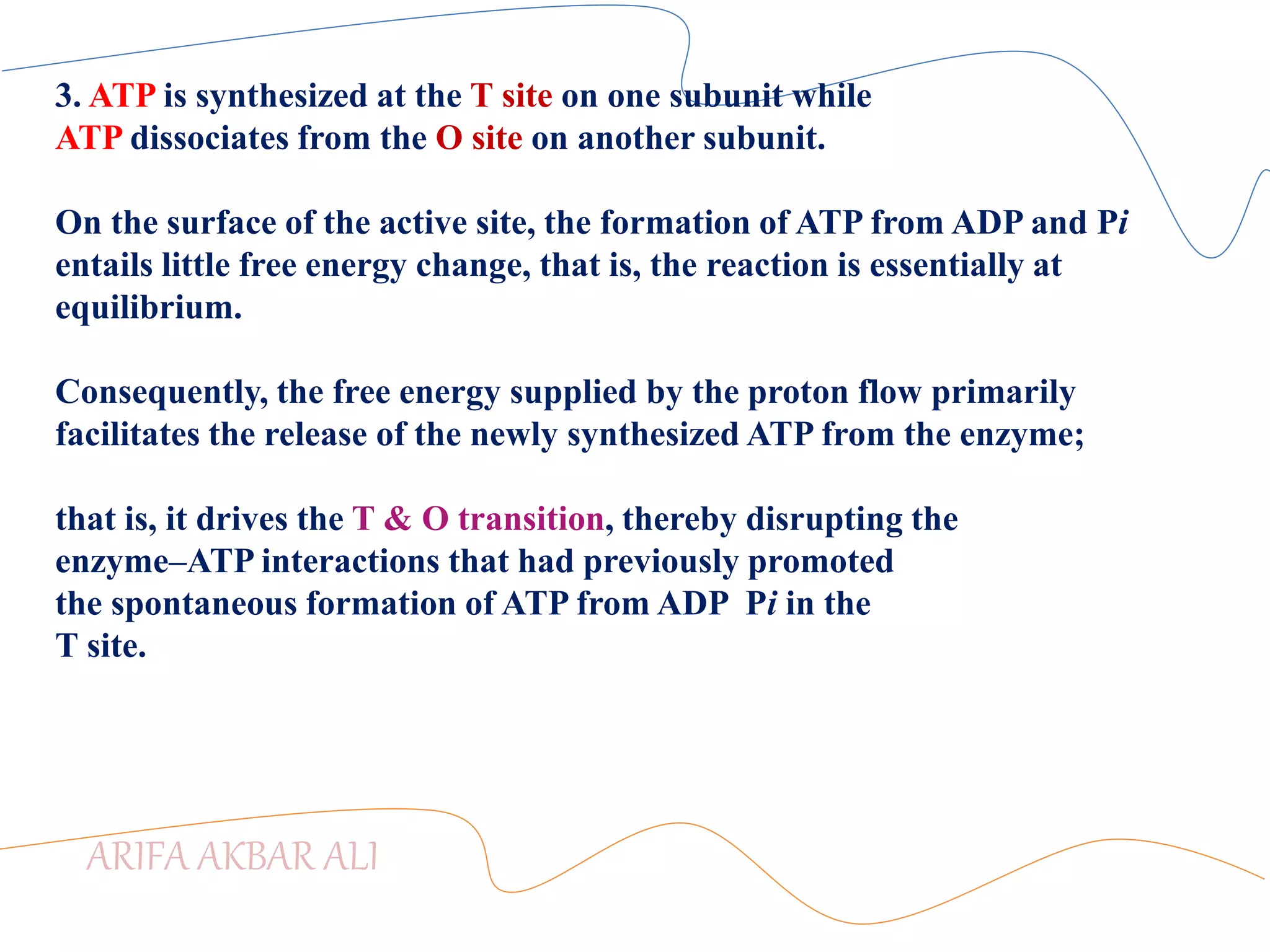 Binding change mechanism of ATP SYNTHASE | PPTX
