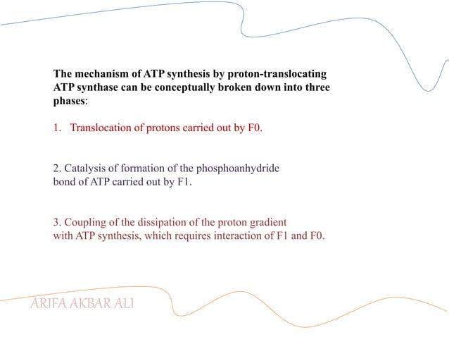 Binding change mechanism of ATP SYNTHASE | PPTX