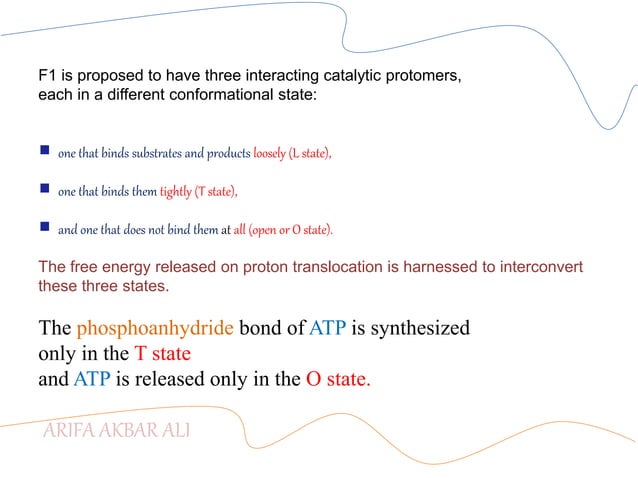 Binding change mechanism of ATP SYNTHASE | PPTX
