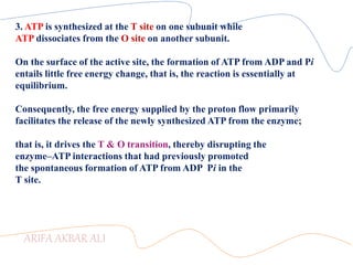 Binding change mechanism of ATP SYNTHASE | PPTX