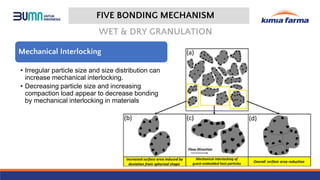 Binding Mechanism.pptx