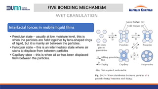 Binding Mechanism.pptx