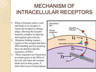 Binding of ligand and receptors 1 | PPTX