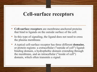 Binding of ligand and receptors 1 | PPTX