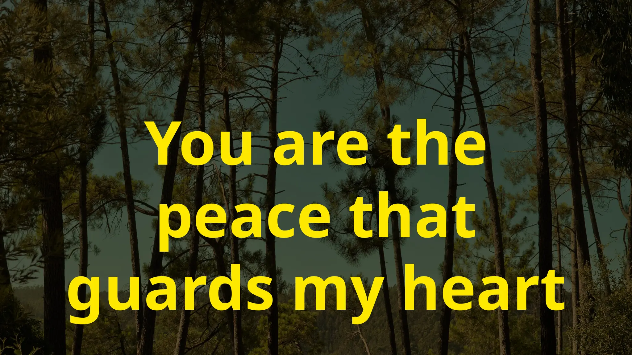 BIndTech DAY - CMC PowerPoint Presentation | PPTX