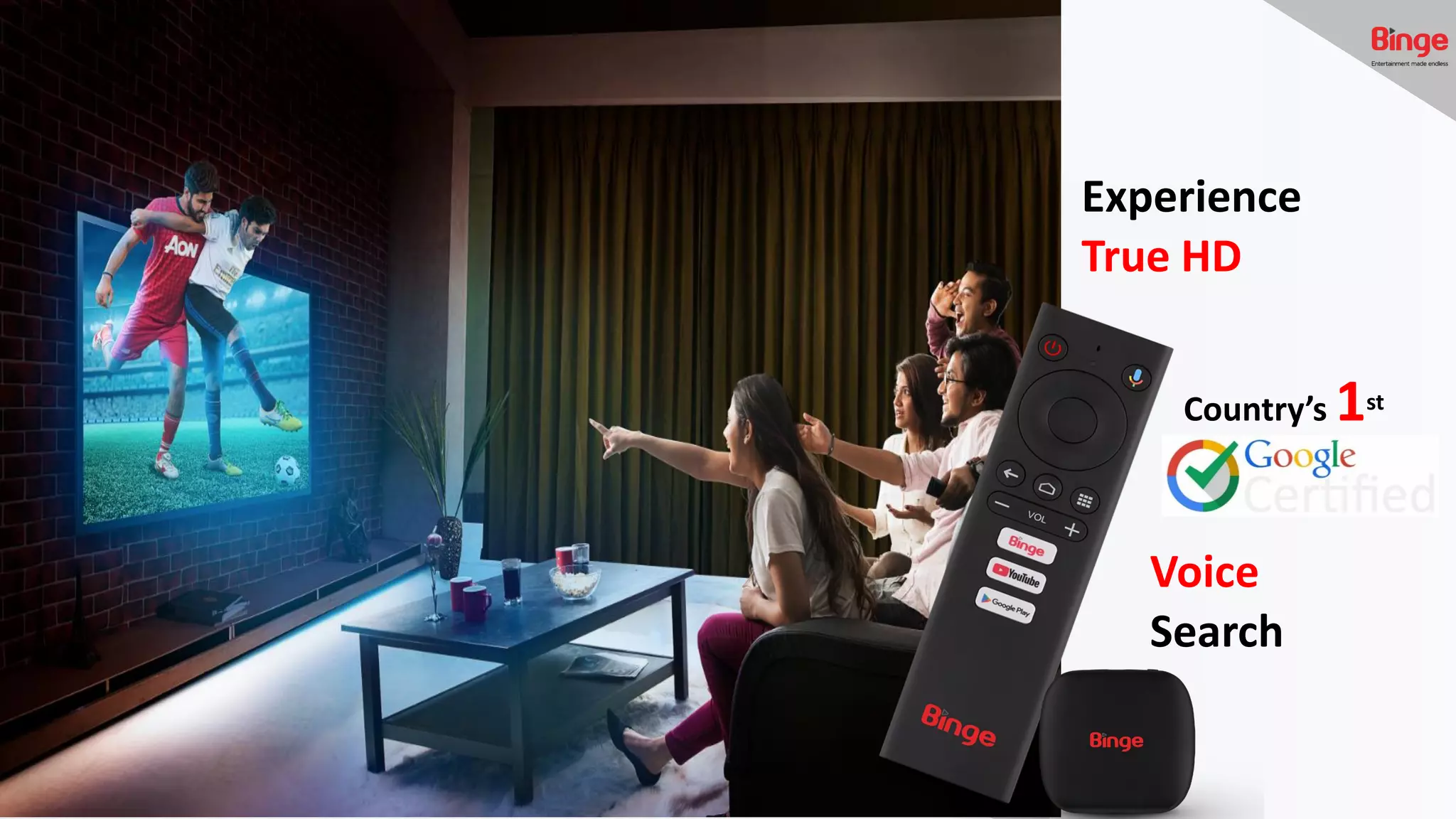 Binge | PPT | Free Download