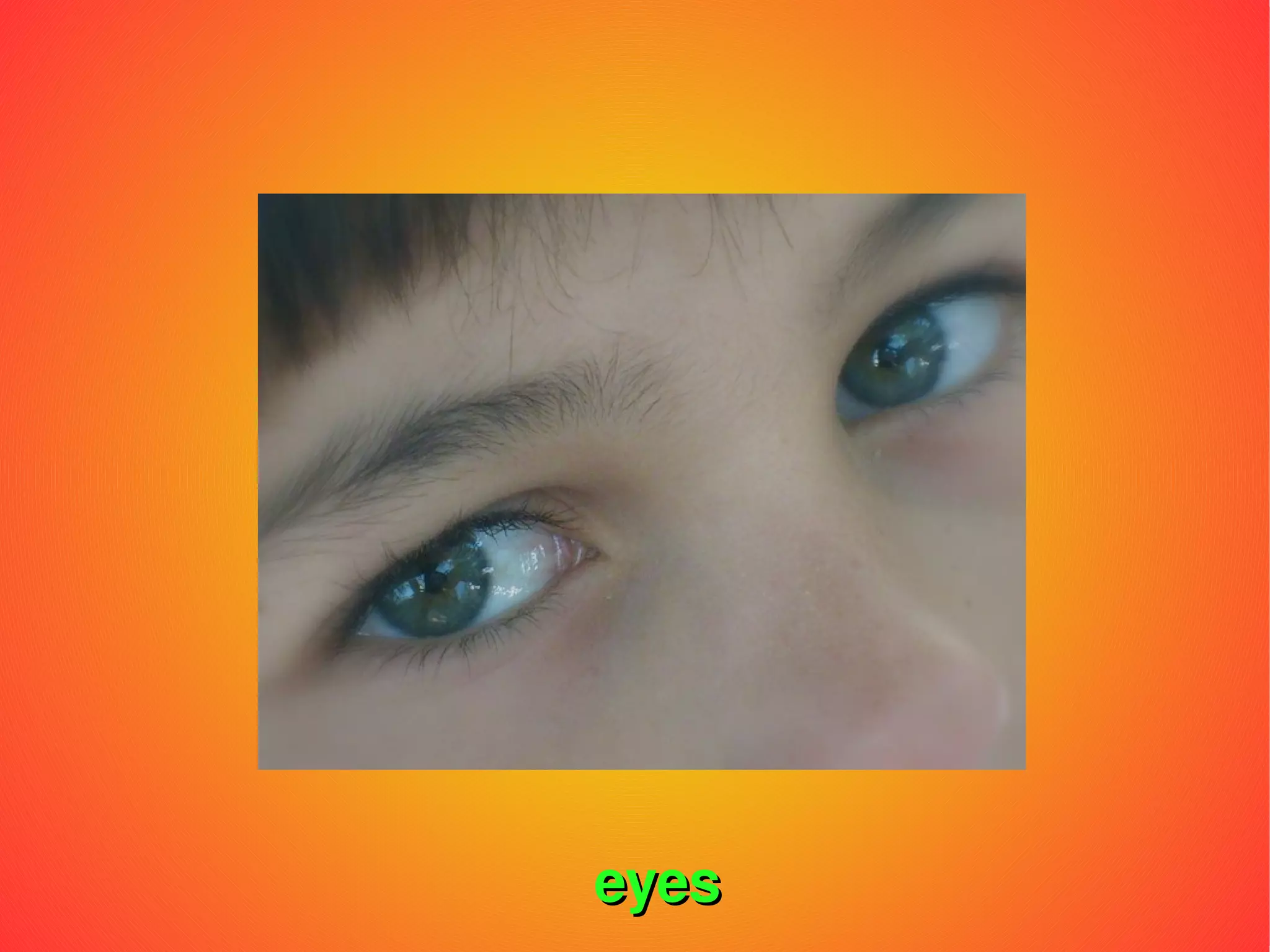 Bingo 1 unit 2 vocabulary | PDF