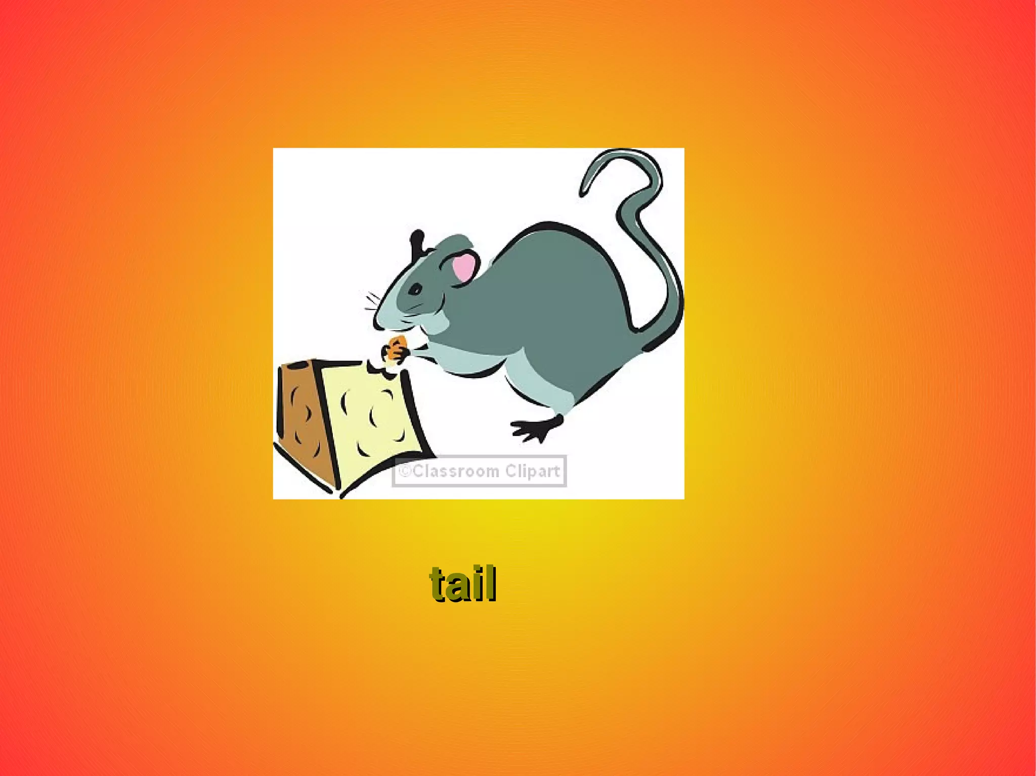 Bingo 1 unit 2 vocabulary | PDF