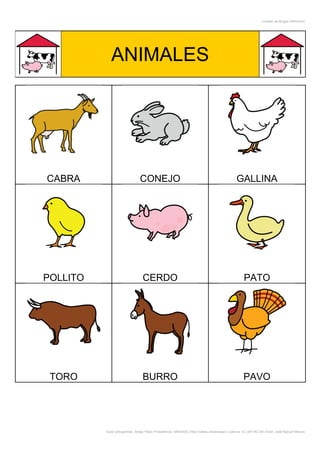 Bingo de animales domésticos | DOC