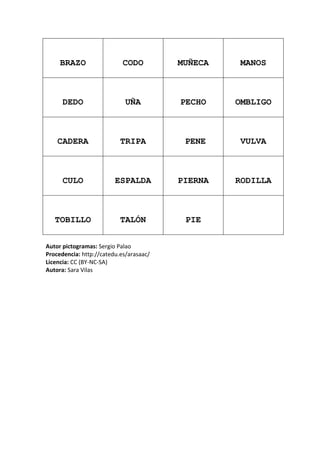 Bingo el cuerpo_humano | PDF