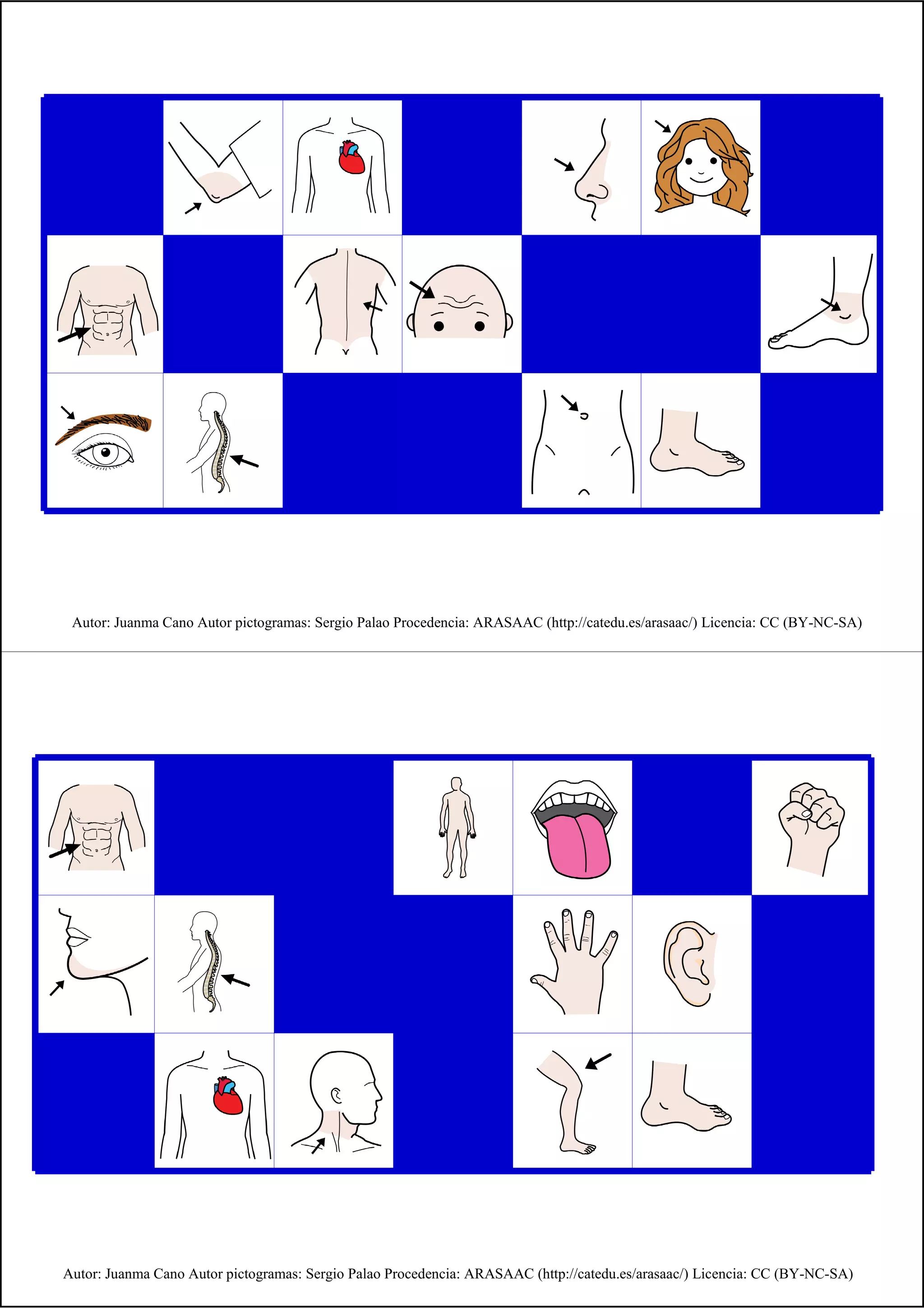 Bingo partes del cuerpo | PDF | Casinos & Gambling | Attractions