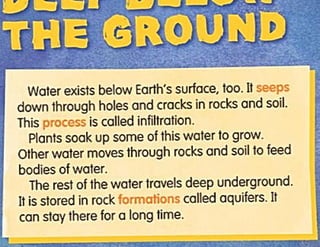 1st Grade Nonfiction Text Features | PDF