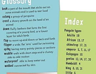 1st Grade Nonfiction Text Features | PDF