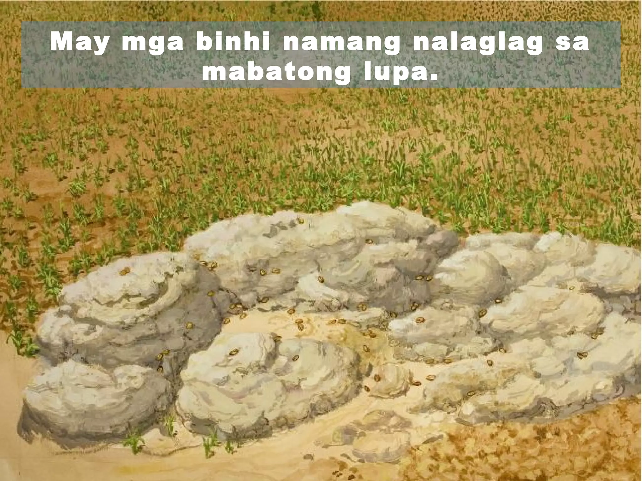 Parabula ng mga Binhing Inihasik | PPT