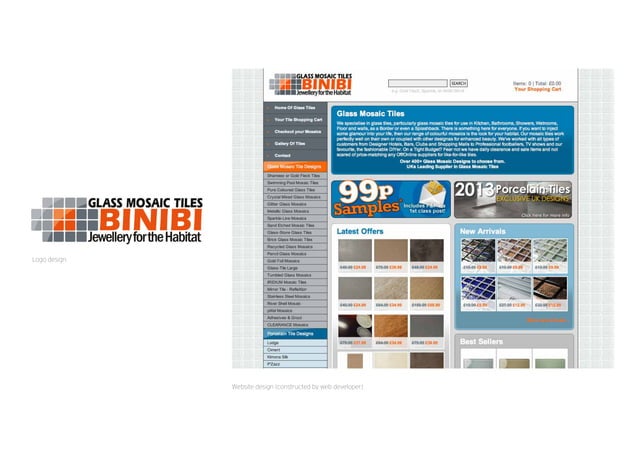 Binibi website and logo design | PPT