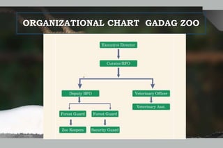 Binkadakatti zoo | PPTX