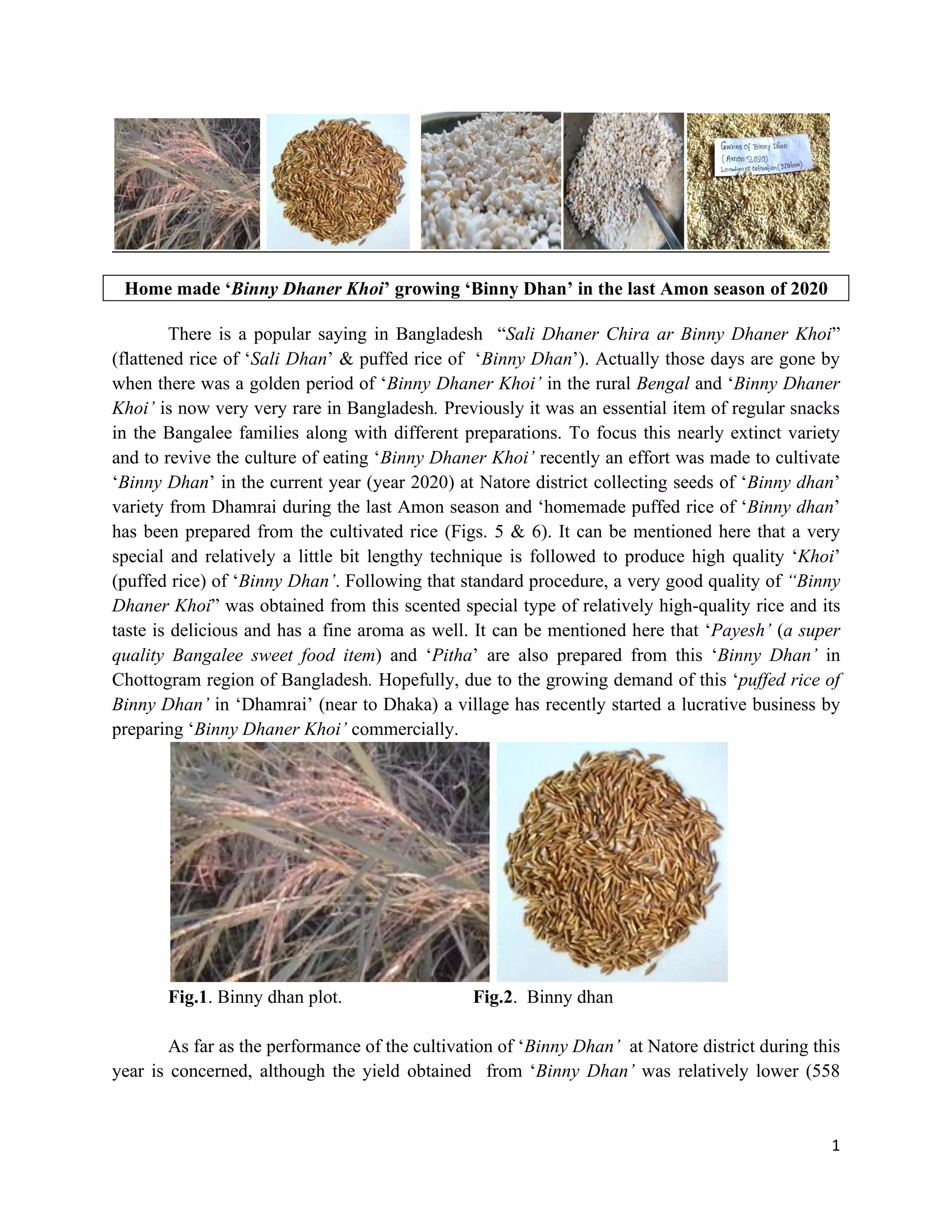 'Binny dhaner khoi' made from 'Binny Dhan' grown in Natore district | PDF