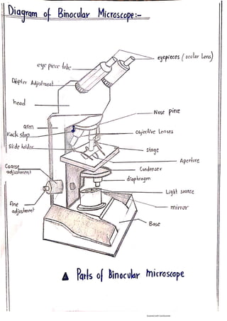 compound microscope | PDF