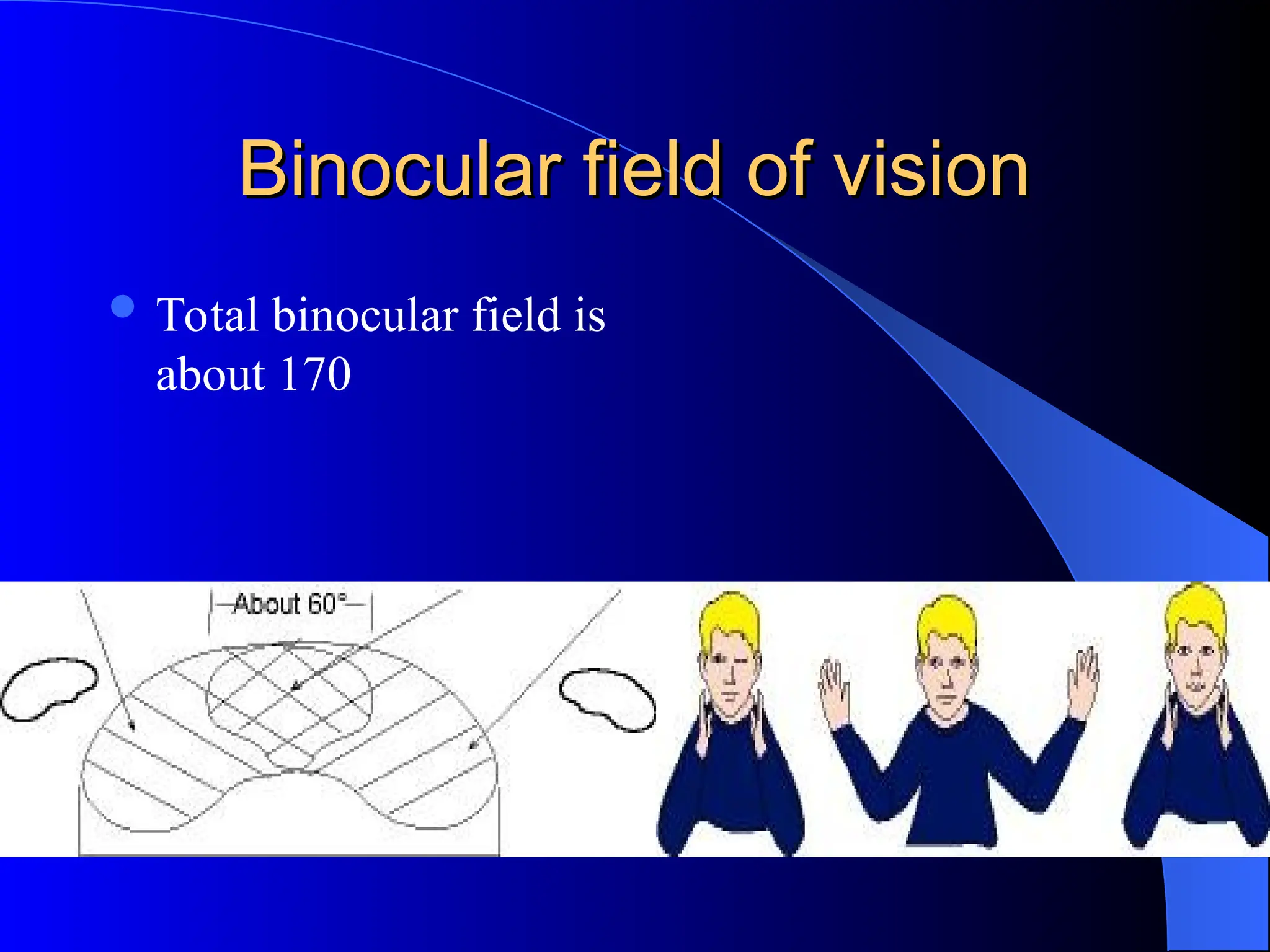 Basics of BINOCULAR SINGLE VISION.ppt