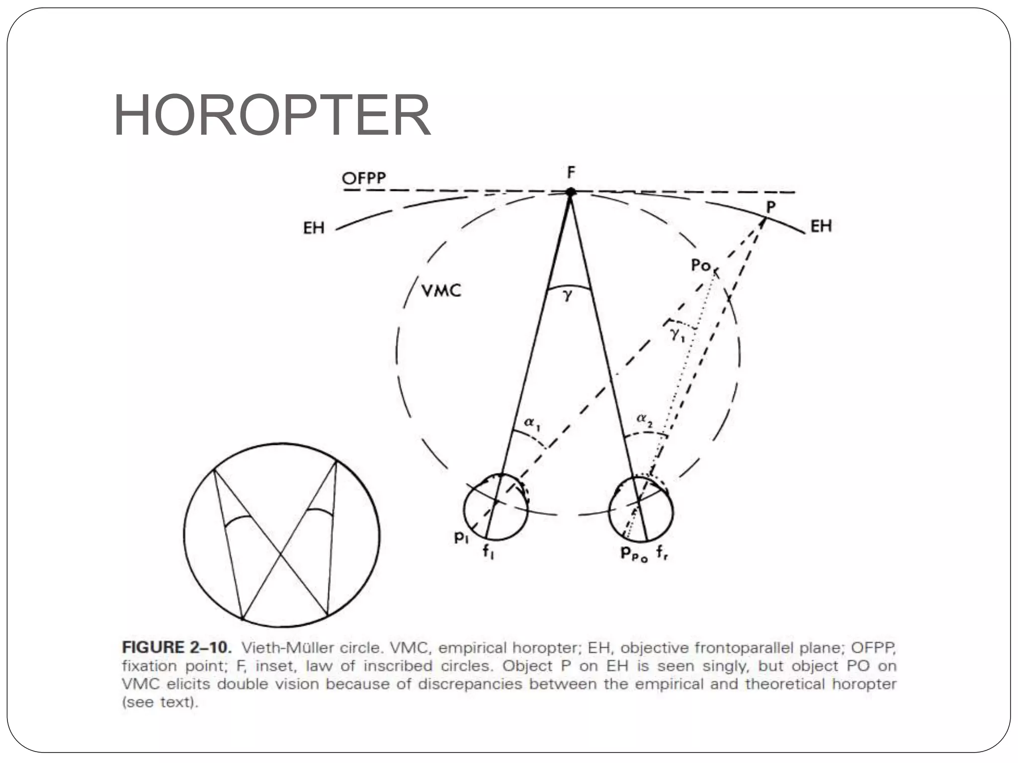Binocular vision | PPTX