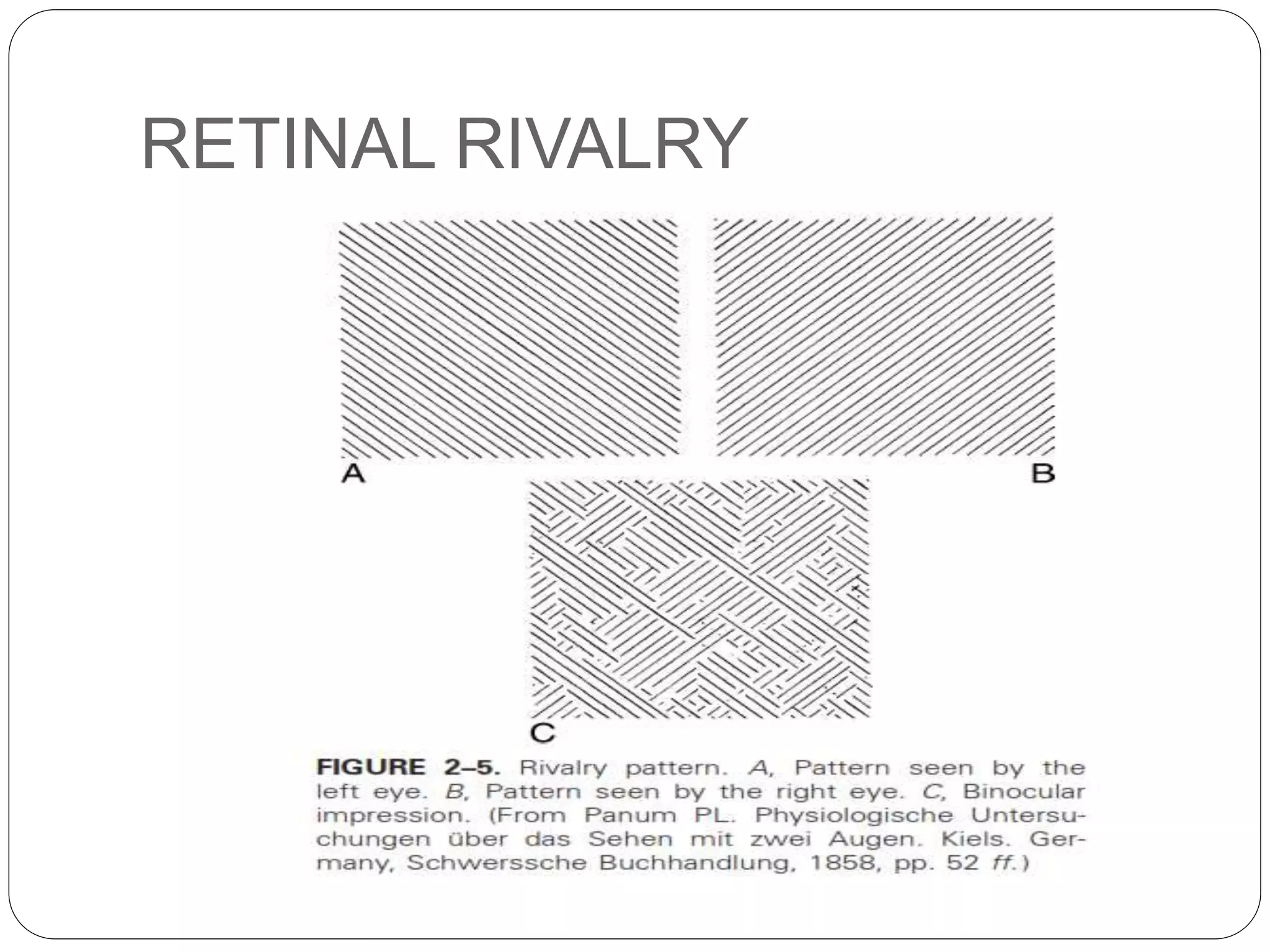 Binocular vision | PPTX