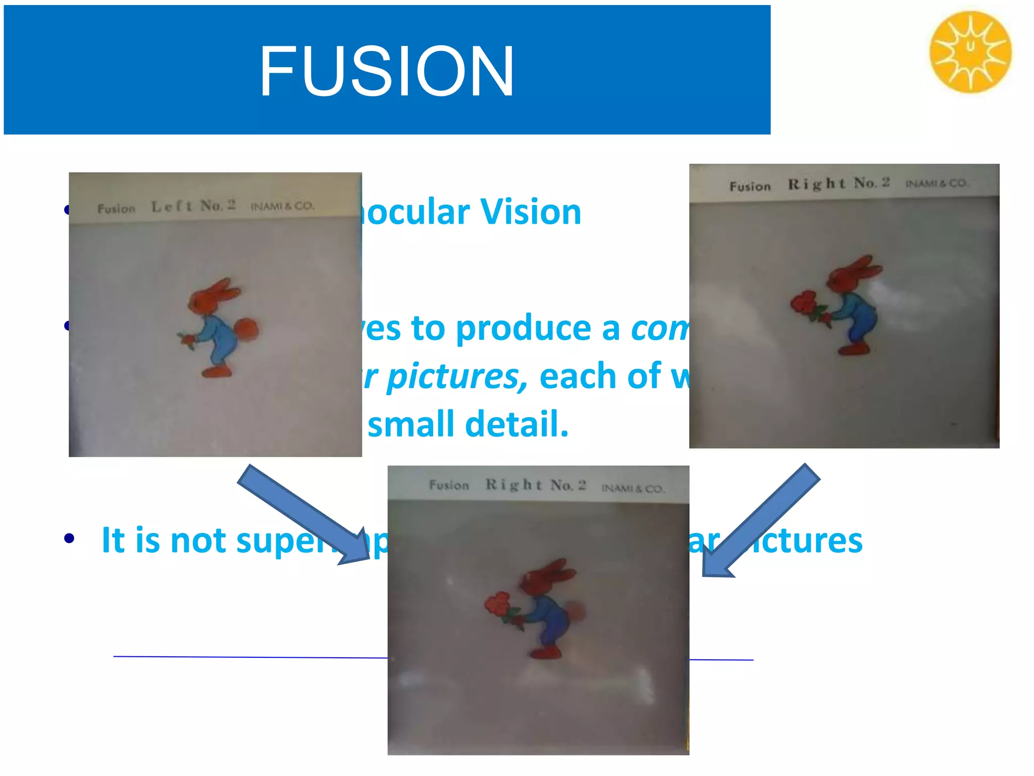 Binocular vision | PPTX