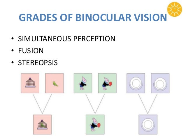 Binocular vision