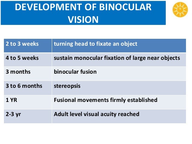 Binocular vision