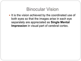 Binocular vision | PPT