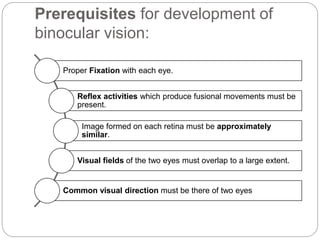 Binocular vision | PPT