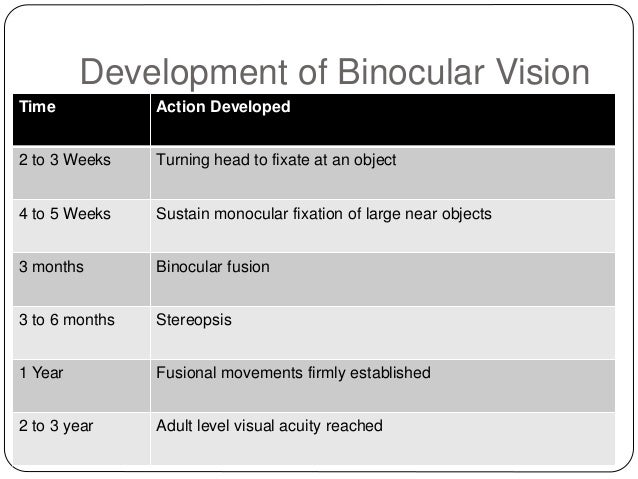 Binocular vision