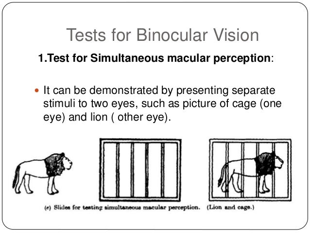 Binocular vision