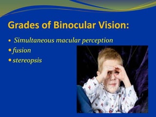 binocularvision-191129093216.pdf