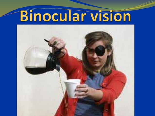 Binocular vision | PPTX