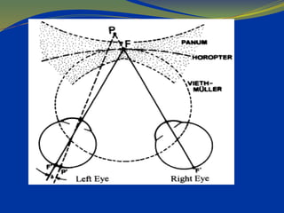 Binocular vision | PPTX