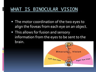 Binocular vision | PPTX