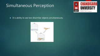 Binocular Vision.pptx