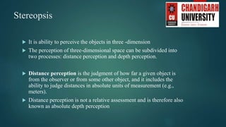 Binocular Vision.pptx