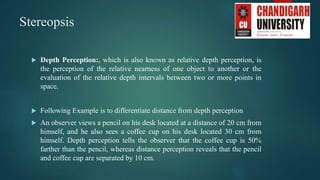 Binocular Vision.pptx